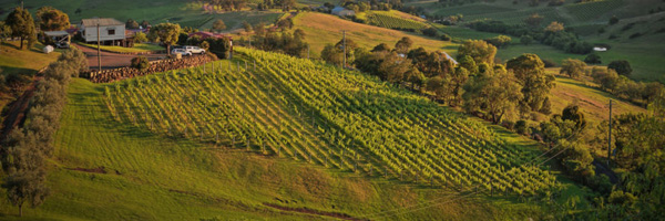 AgTech for All Levels of Farming